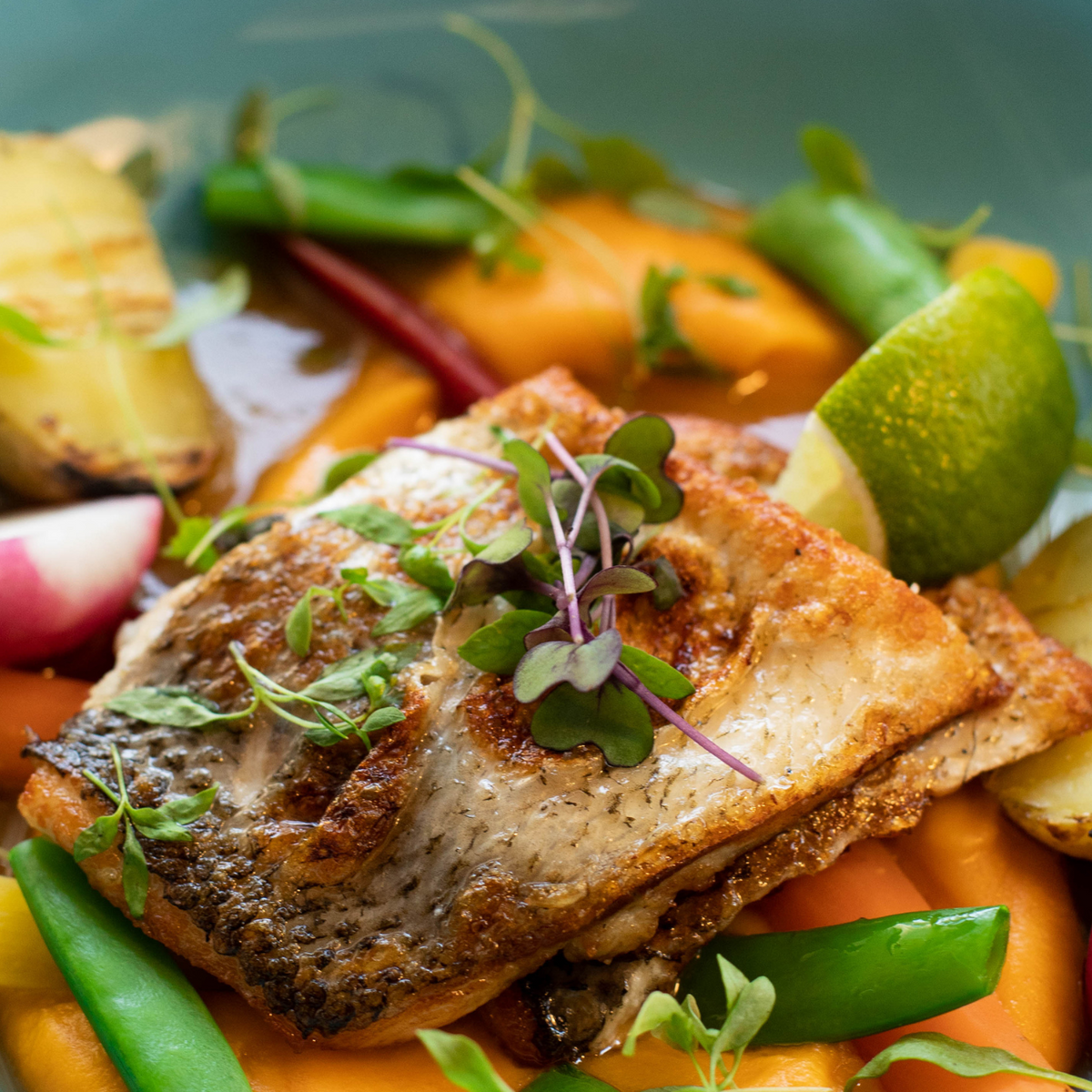 pan fried pollock fillets