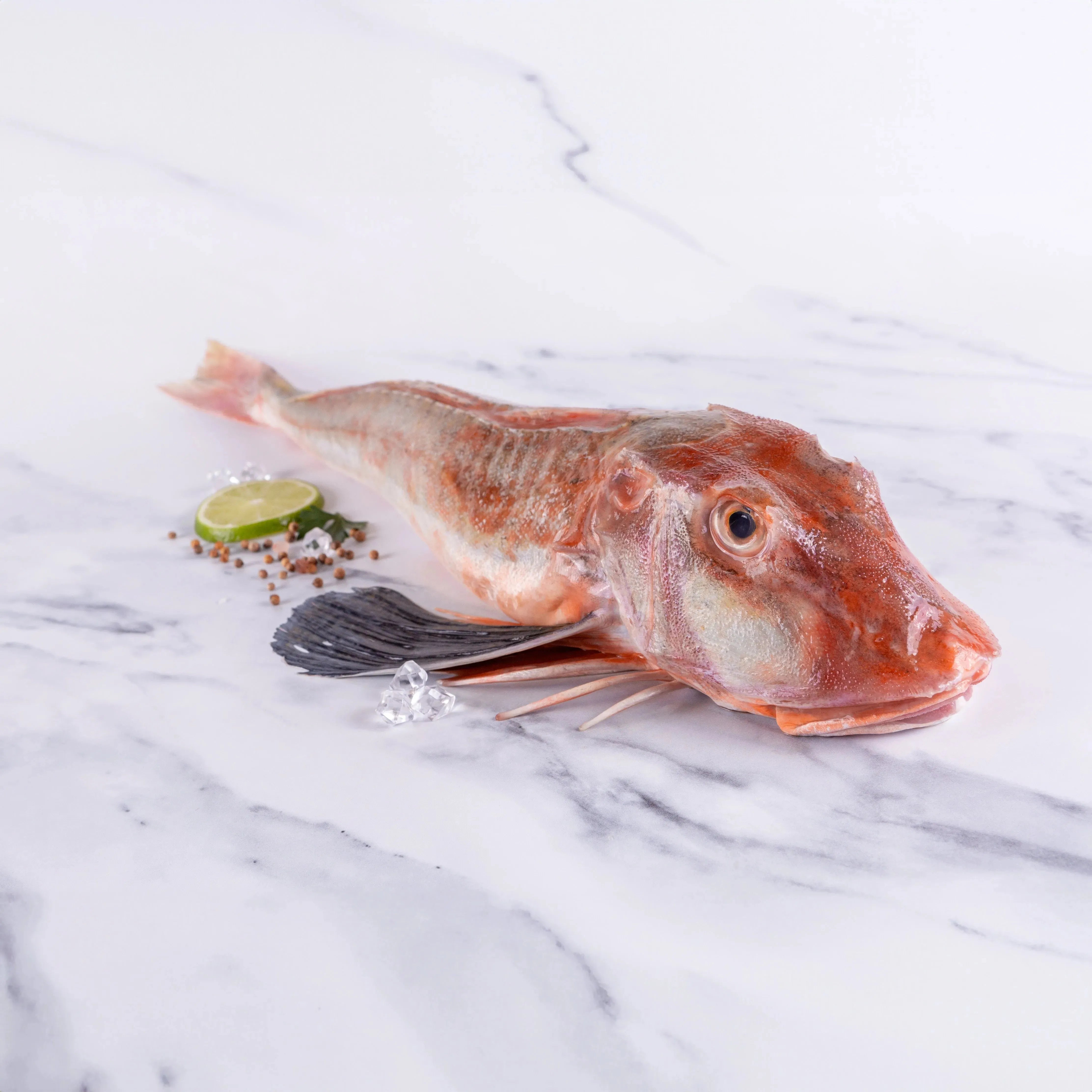Gurnard store
