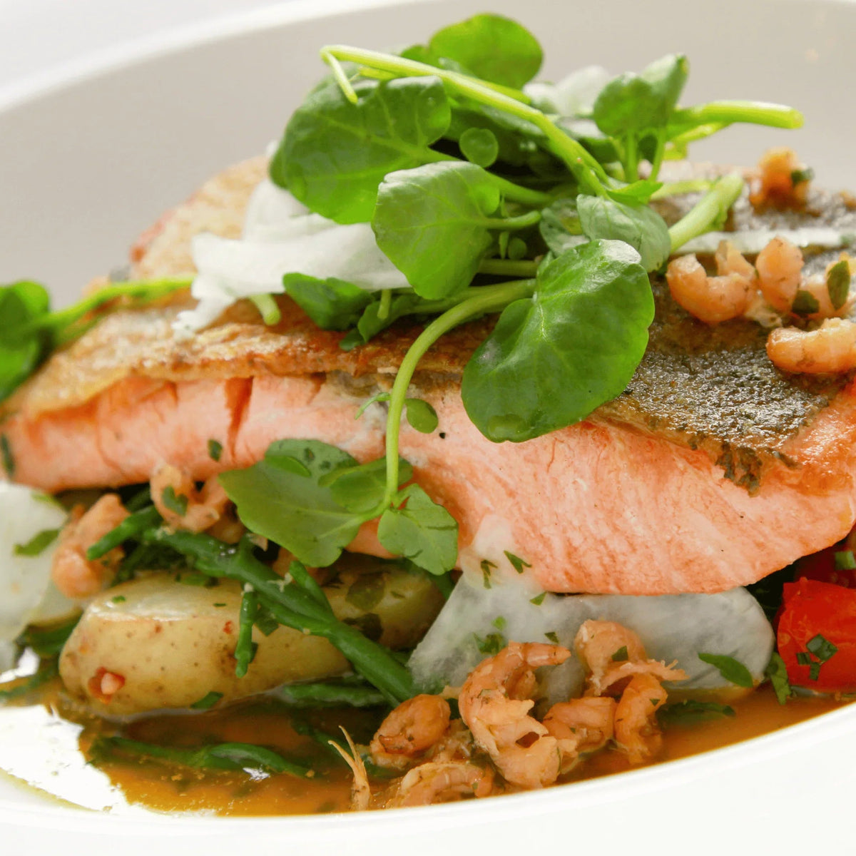 Nutritional Power of Seafood in 2026 – The Cornish Fishmonger