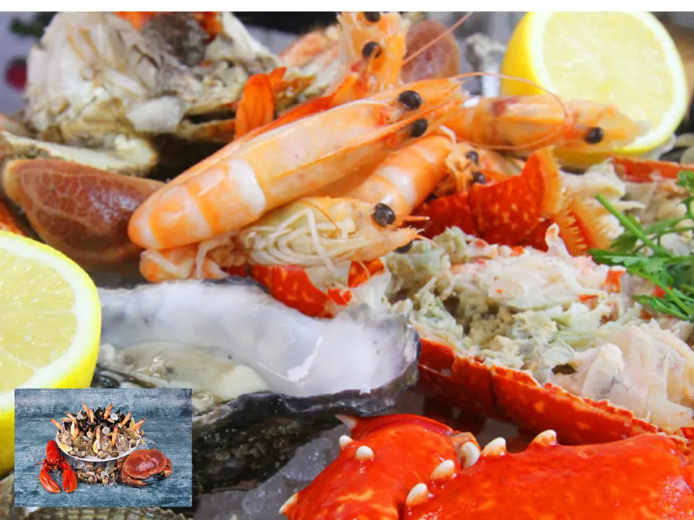 SHELLFISH BOXES – The Cornish Fishmonger