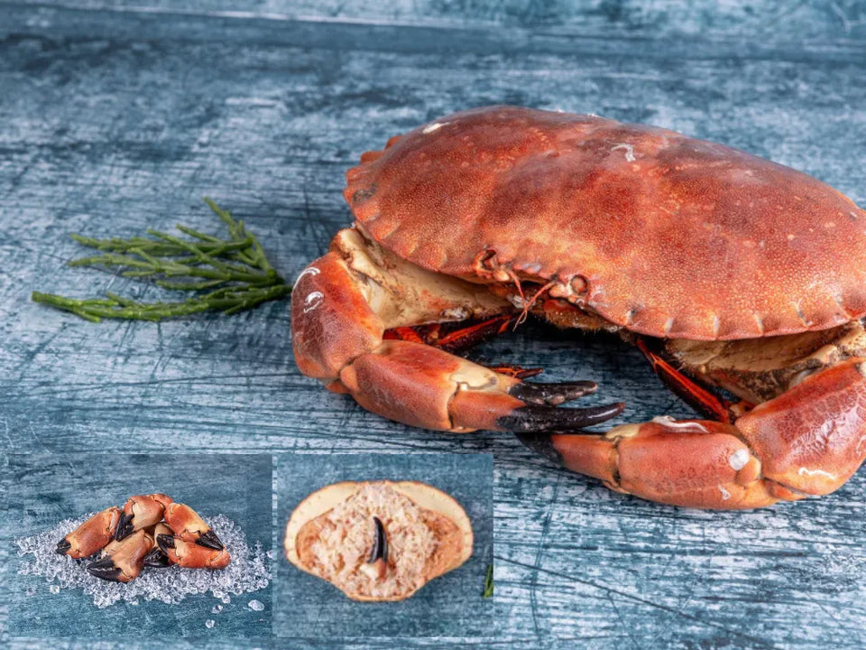 CRAB | Direct to your Door |The Cornish Fishmonger