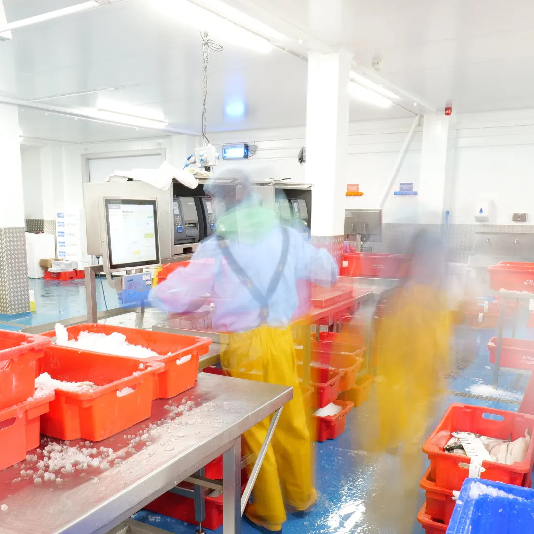 Buy Fresh Fish Online from The Cornish Fishmonger.