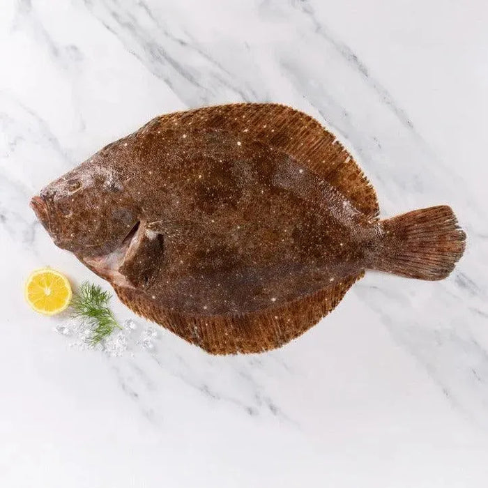 Buy Fresh Fish Online from The Cornish Fishmonger.