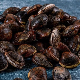 Fresh Cornish Shellfish l Buy Online for Delivery. – The Cornish Fishmonger
