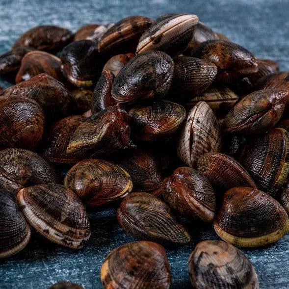 Buy Fresh Clams Online | Live in Their Shells | 24hr Delivery – The ...
