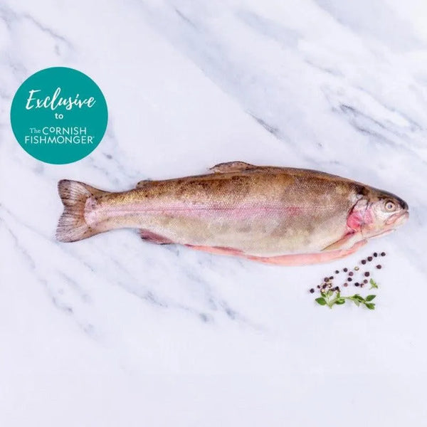 FRESH FISH – The Cornish Fishmonger