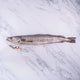 Buy Fresh Hake Fish Online | The Cornish Fishmonger