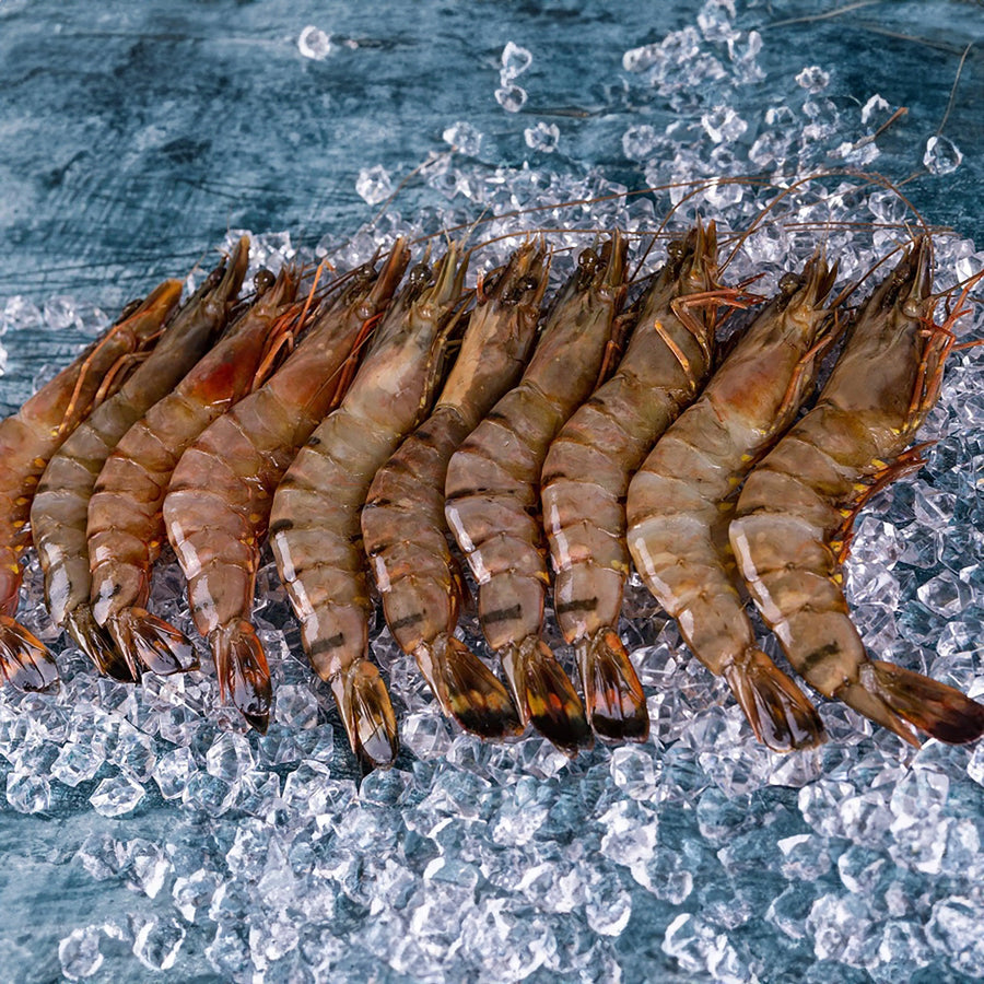 PRAWNS – The Cornish Fishmonger