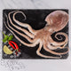Buy Fresh Octopus | UK Next Day Delivery | The Cornish Fishmonger