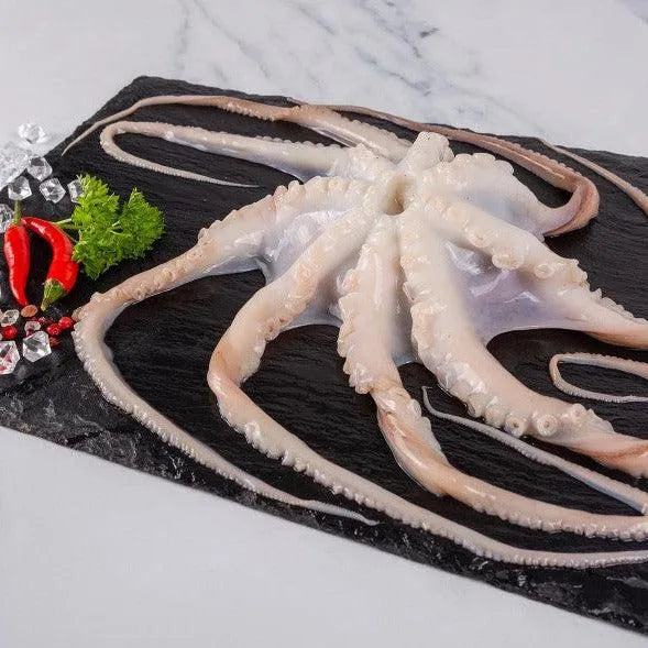 Buy Fresh Octopus | UK Next Day Delivery | The Cornish Fishmonger