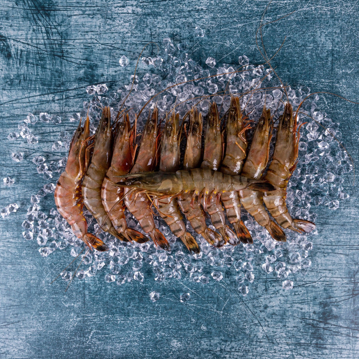 PRAWNS – The Cornish Fishmonger