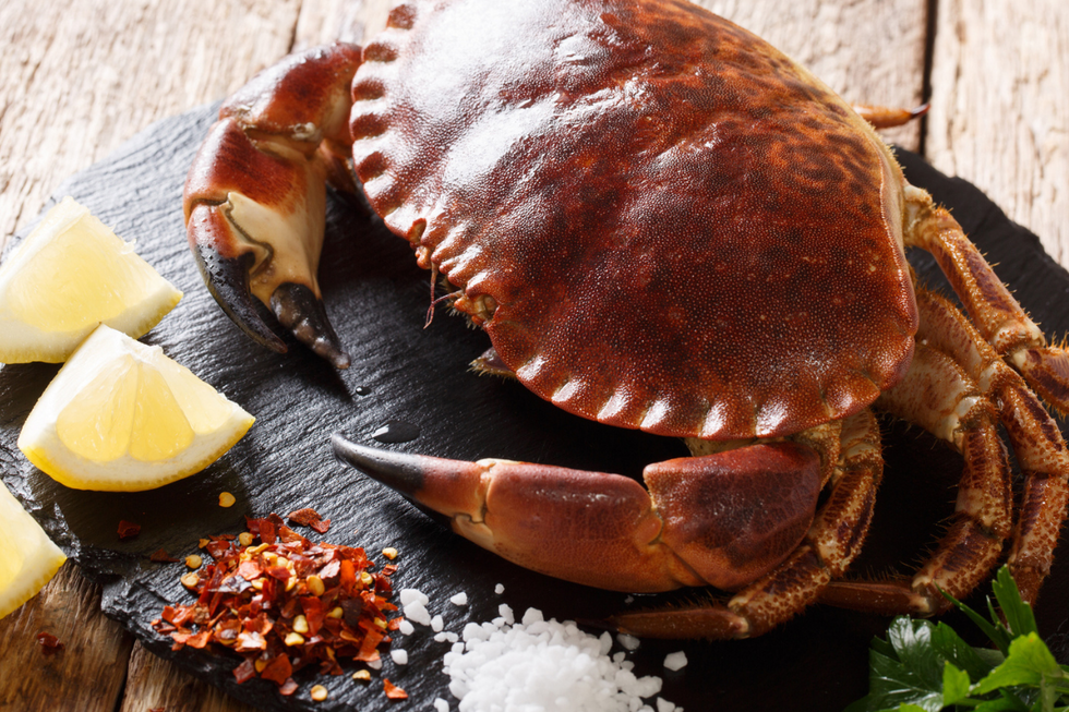 The Cornish Fishmonger - Fresh Fish and Seafood with FREE Delivery.