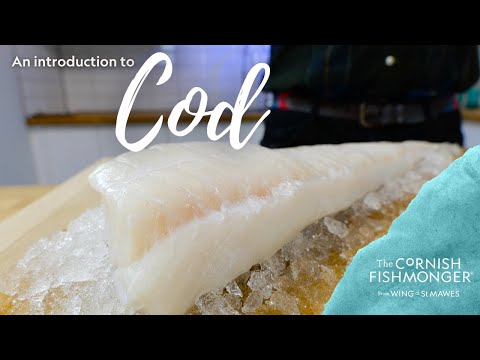 Buy Fresh Cod Fillet | Free 24hr Delivery | The Cornish Fishmonger