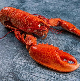 Fresh Cornish Shellfish l Buy Online for Delivery. – The Cornish Fishmonger