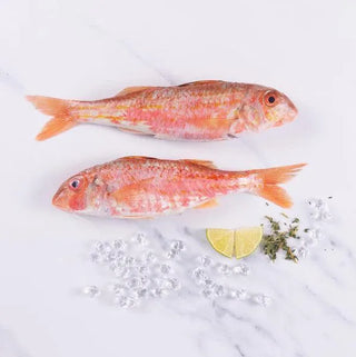 Buy Fresh Fish Online from The Cornish Fishmonger.