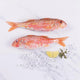 Red Mullet | Locally Caught | UK Delivery | The Cornish Fishmonger
